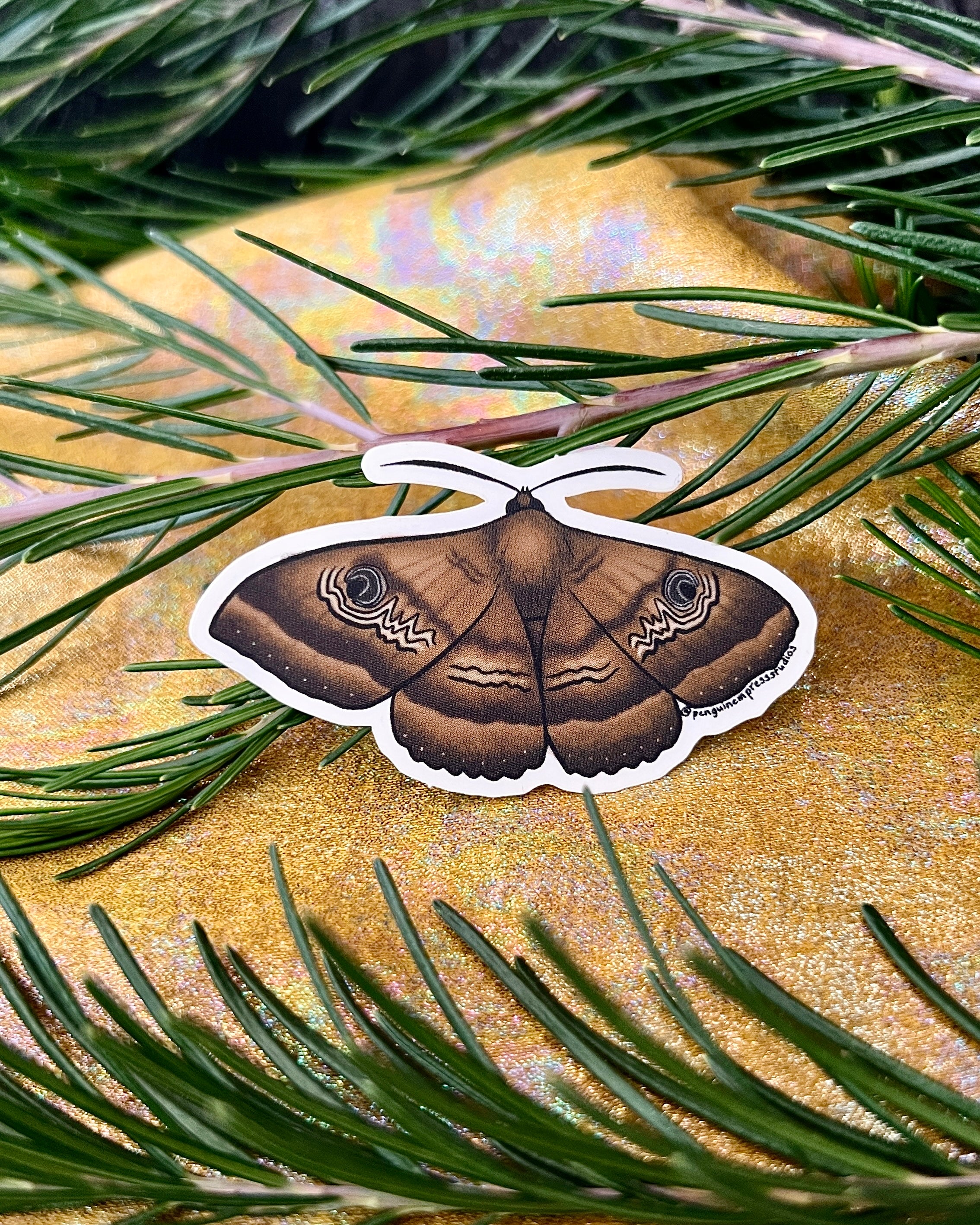 Southern Lady Moth Vinyl Sticker | Penguin Empress Studios